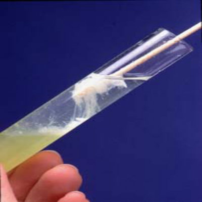 How to Extract DNA from Spinach