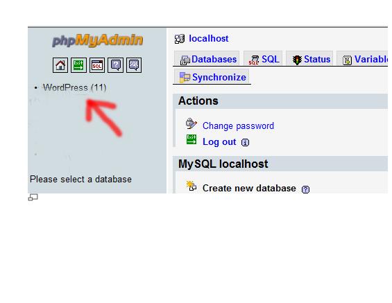 How to Backup MySQL Database with phpMyAdmin