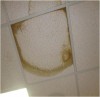 How To Replace A Damaged Ceiling Tile