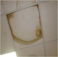 How To Replace A Damaged Ceiling Tile