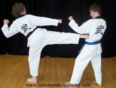 How to Perform a Side Kick