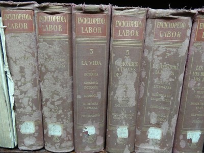 How to Eliminate Mold and Mildew from Books