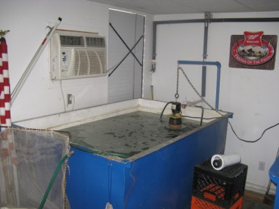 How to Build a Minnow Tank For Live Fish Bait