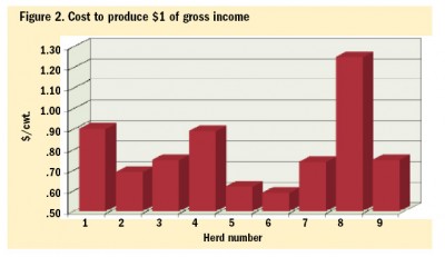 How to Calculate Average Profit Margin