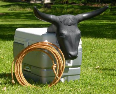 How to Rope a Steer Head