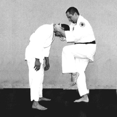 How to Perform a Judo Hip Throw