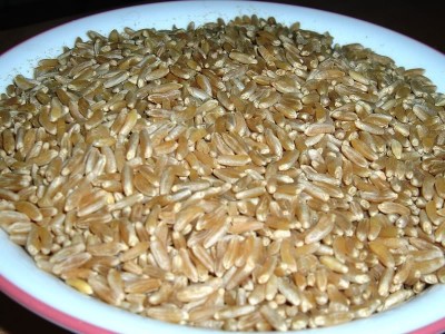 How to Cook with Kamut Grain