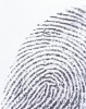 How to Collect Fingerprints From a Crime Scene