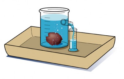 How to Calculate the Density of an Object